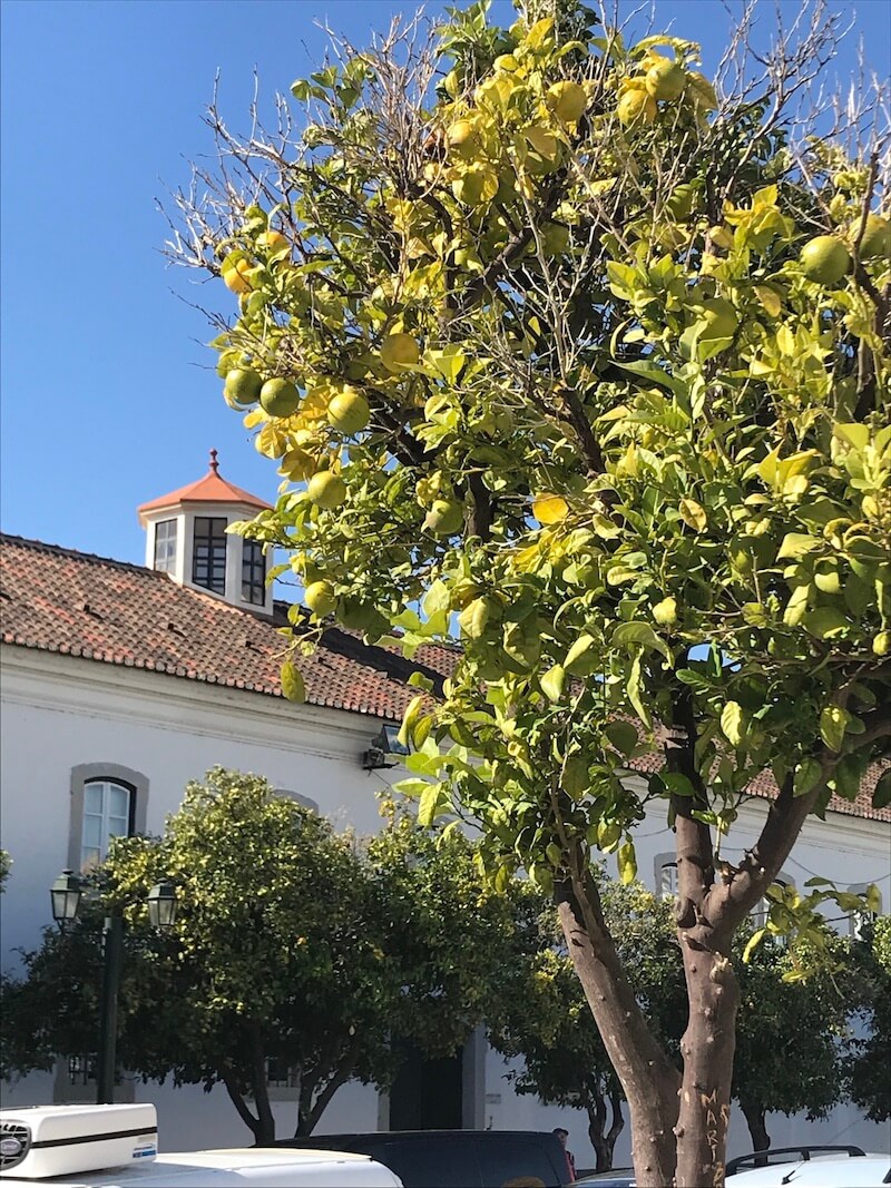 Algarve in the Autumn/Winter | Villa Florabella